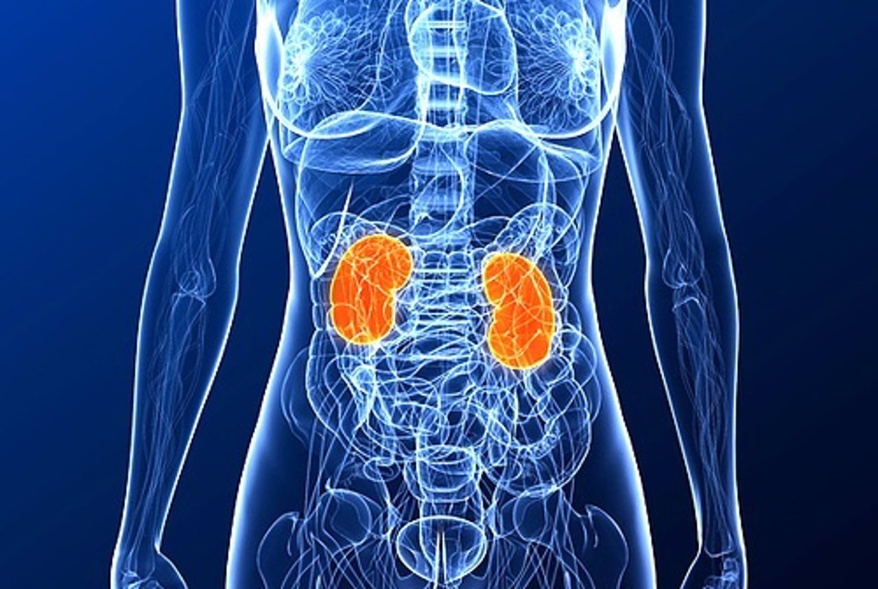 Consejos para cuidar los riñones