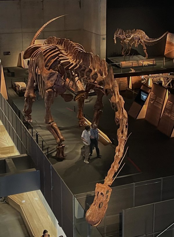 CosmoCaixa expone una réplica de casi 40 metros en una muestra sobre ...