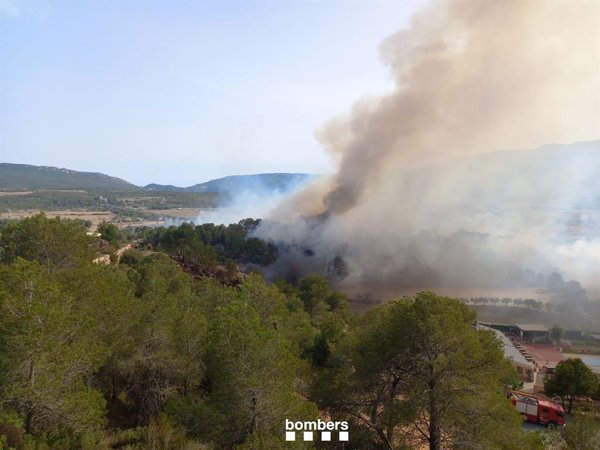 Un incendio en Tarragona obliga a cortar la circulación de varios trenes entre Madrid y Barcelona